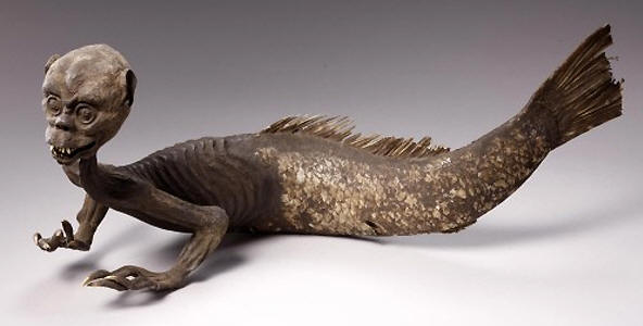 London Fortean Society: Mermaids uncovered!