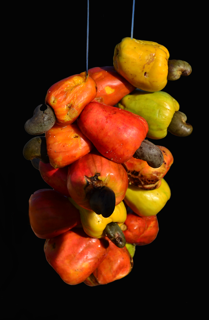 Justo Aquí: Tiempo de Cajuiles...