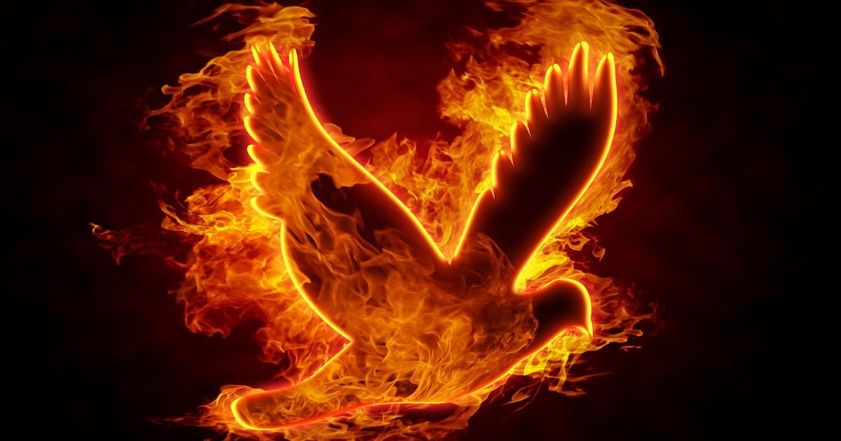 La idioma del Espiritu ~ Los 7 Maestros