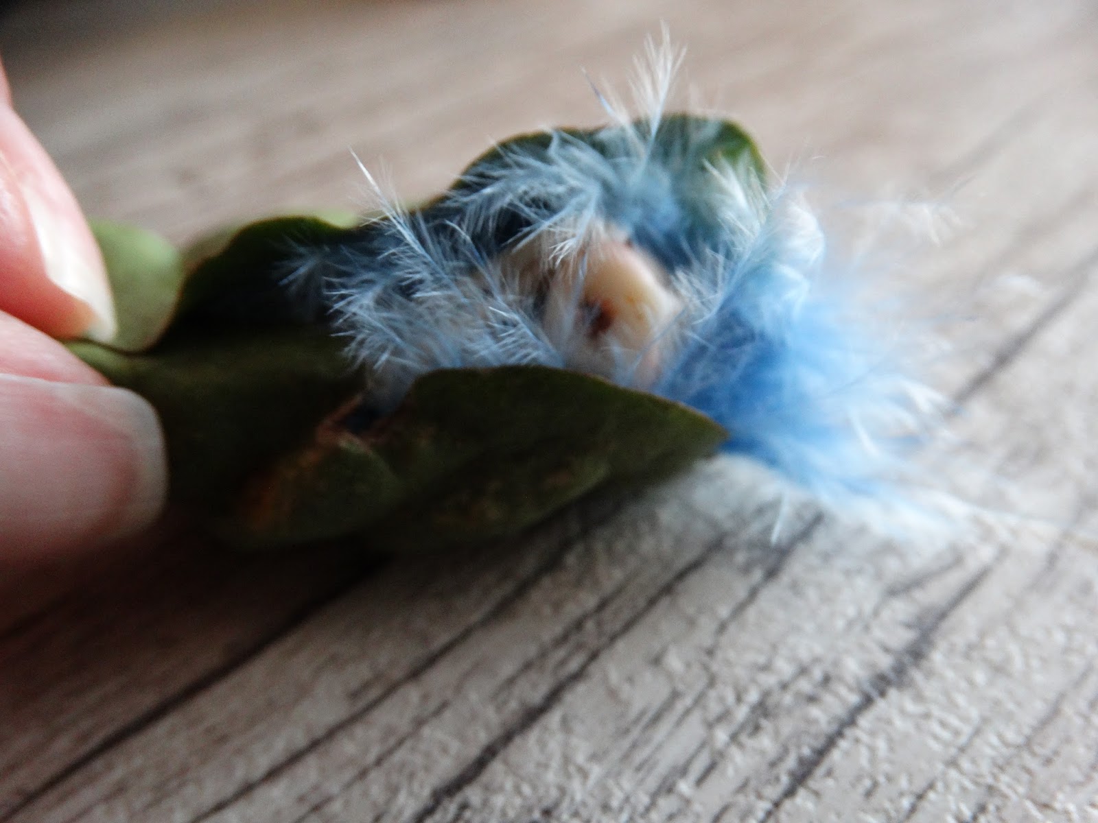 Novelos Nada Exemplares: REAL - Fadas existem!