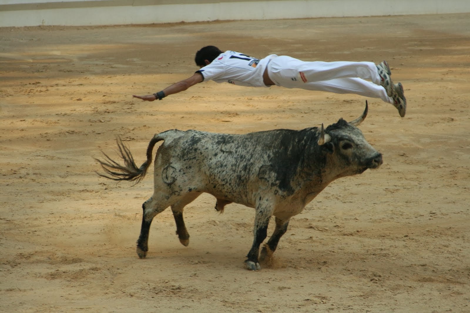 TOROS EN LAS FIESTAS DE LOS PUEBLOS DE CASTELLÓN