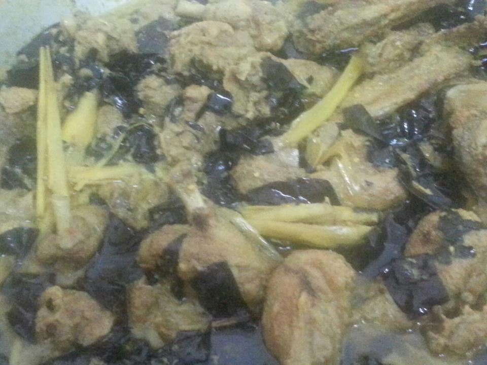 Rendang Itik Daun Puding NS ~ SURIA AMANDA