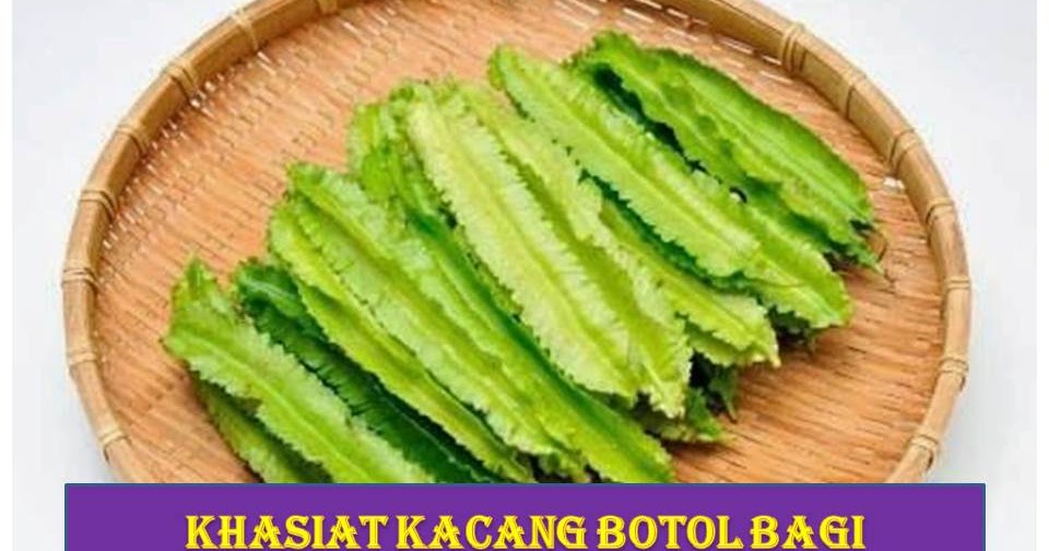 Farah Hanim: KHASIAT KACANG BOTOL BAGI MAKANAN SEHARIAN KITA