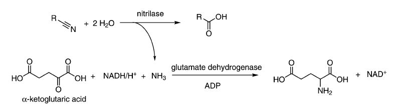 Nzomics : 125 Nitrilase activities all in the one place.
