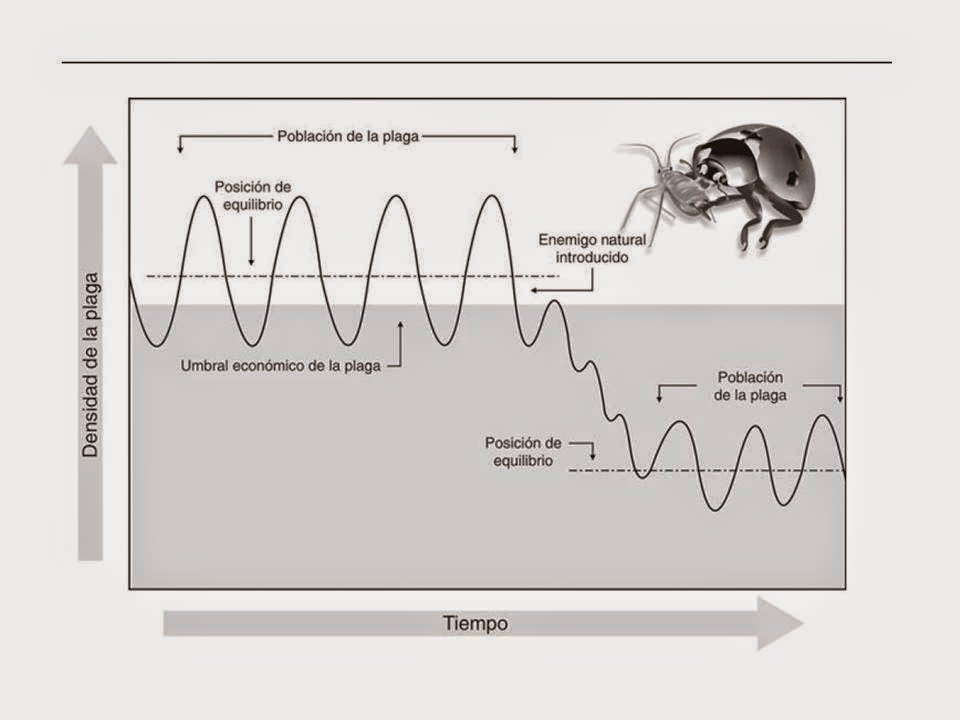 Control biológico : ¿Qué es control biológico?