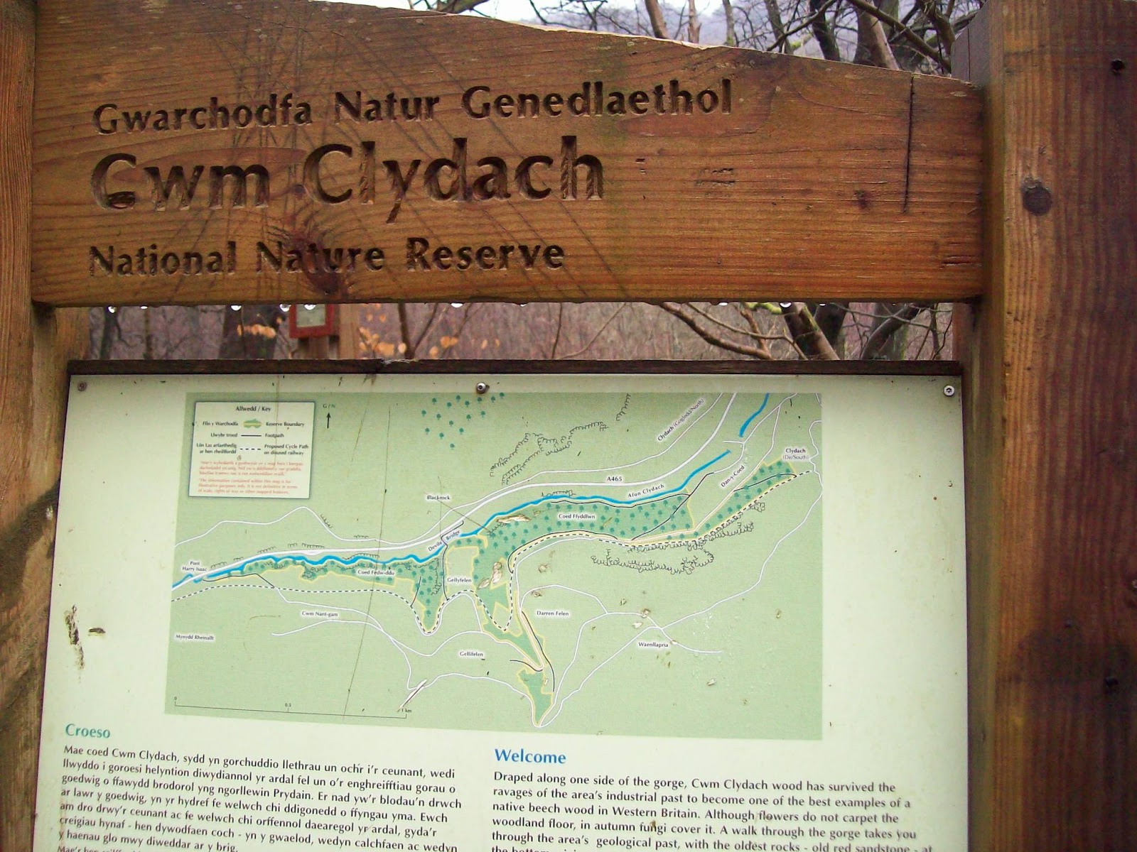 Random Daily Walks: Day 7 (Clydach Gorge)