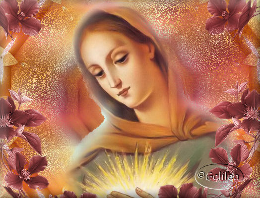 Jesús el Tesoro Escondido: María Santísima es Templo y Sagrario de la ...