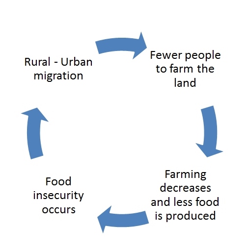 Developing an understanding of settlement: Changes in Rural Environments