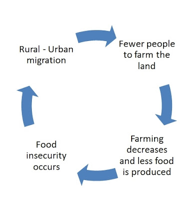 Developing an understanding of settlement: Changes in Rural Environments