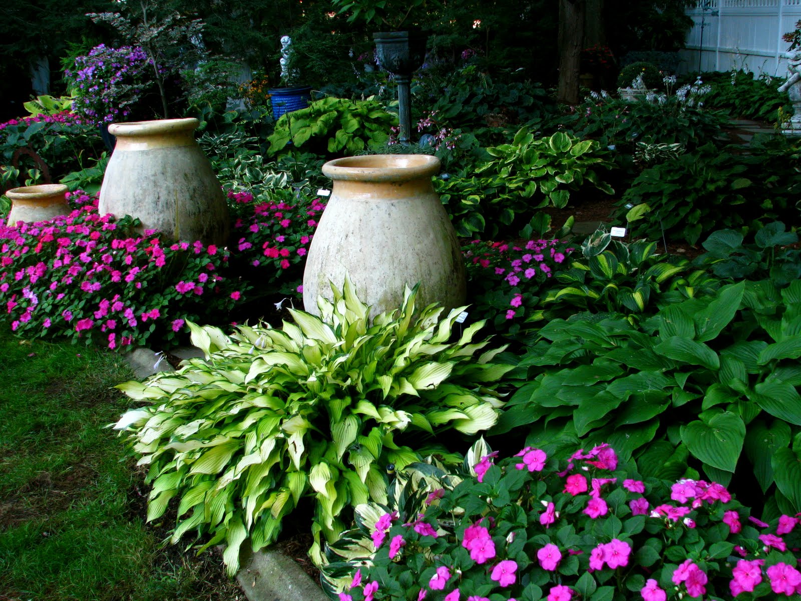 Blogs & Blooms: Texture: Garden Gift of Visual Interest