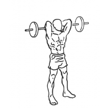 Standing Overhead Barbell Triceps Extension - Fitness Destek