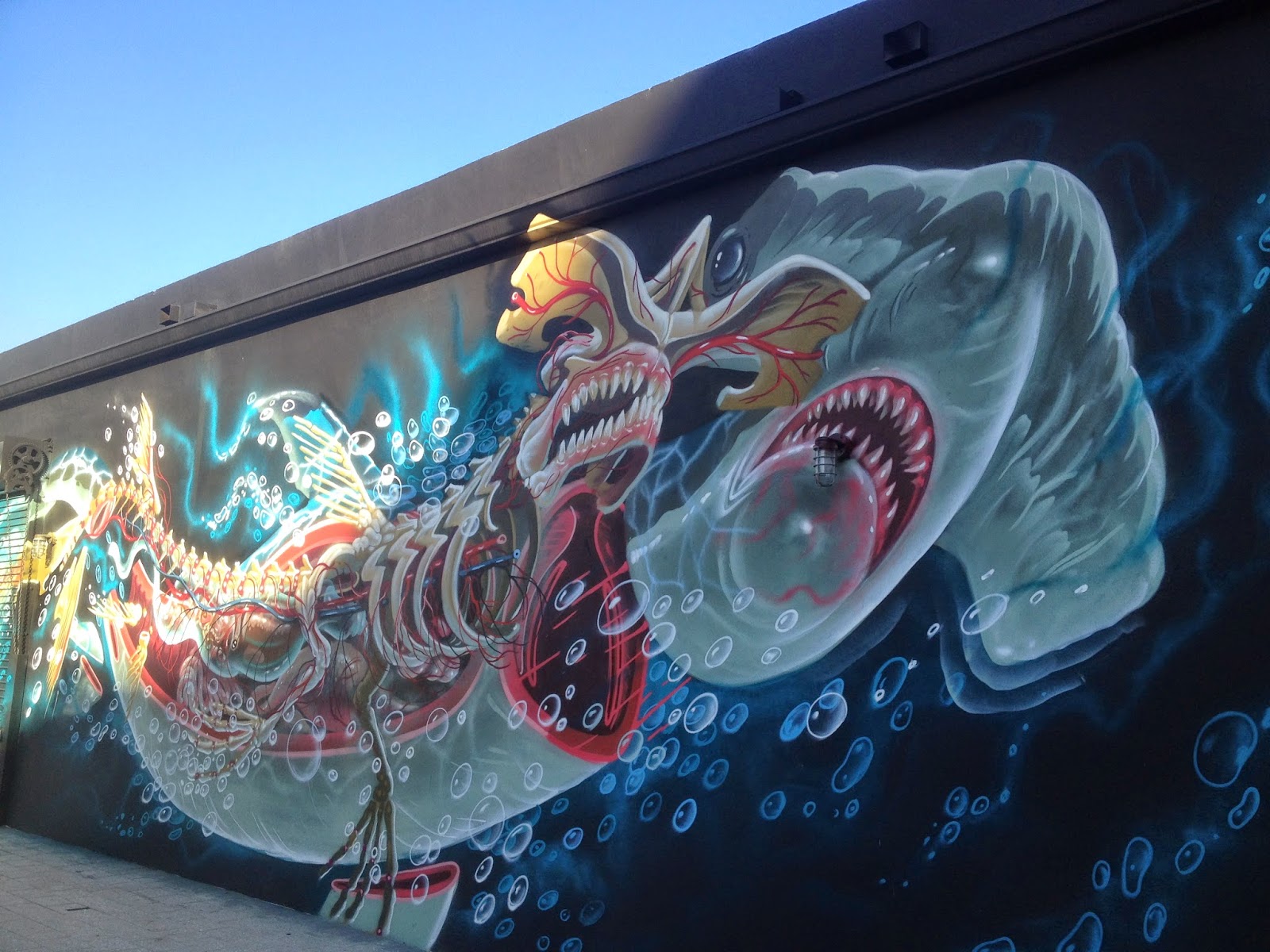 Murals of Miami's Wynwood Art District