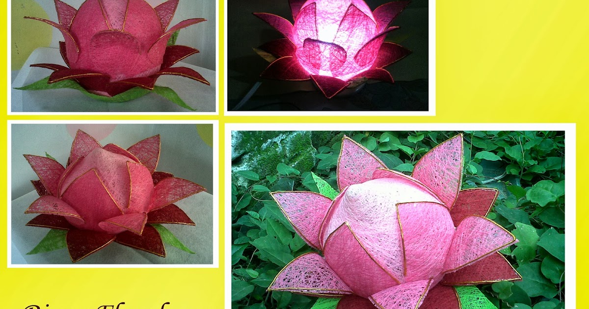 Terbaru 14+ Bunga Lampion, Gambar Bunga