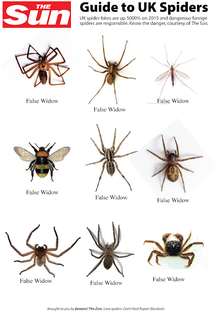 Beware! the Zine: The Sun's Guide to UK Spiders