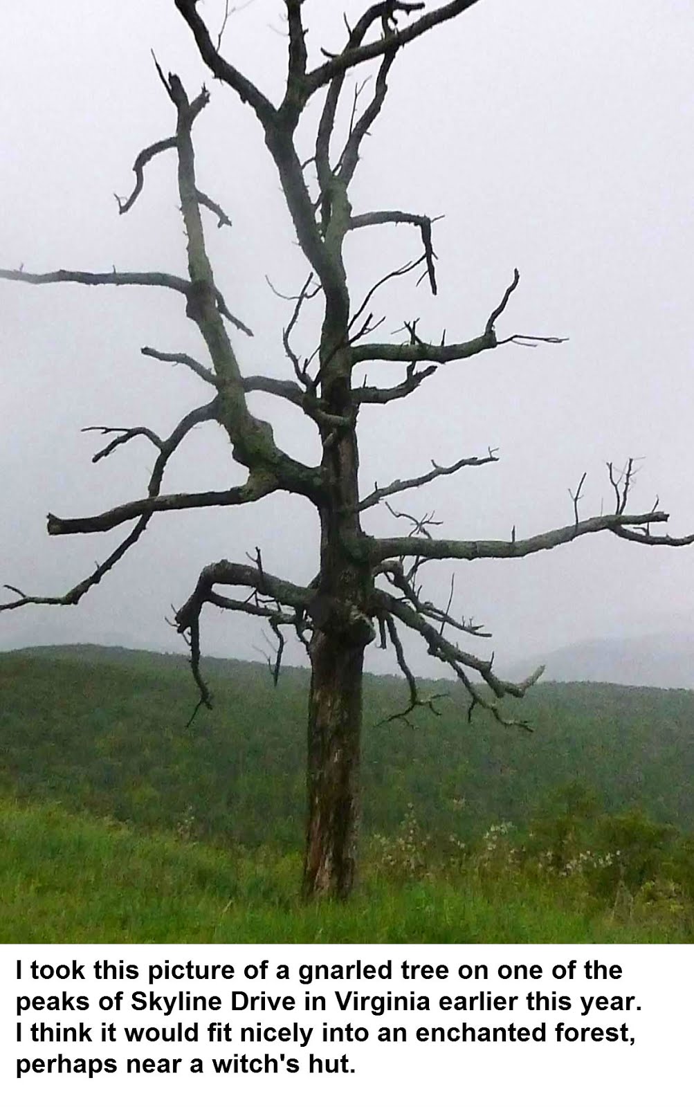 Papergreat: 10/14/12 - 10/21/12