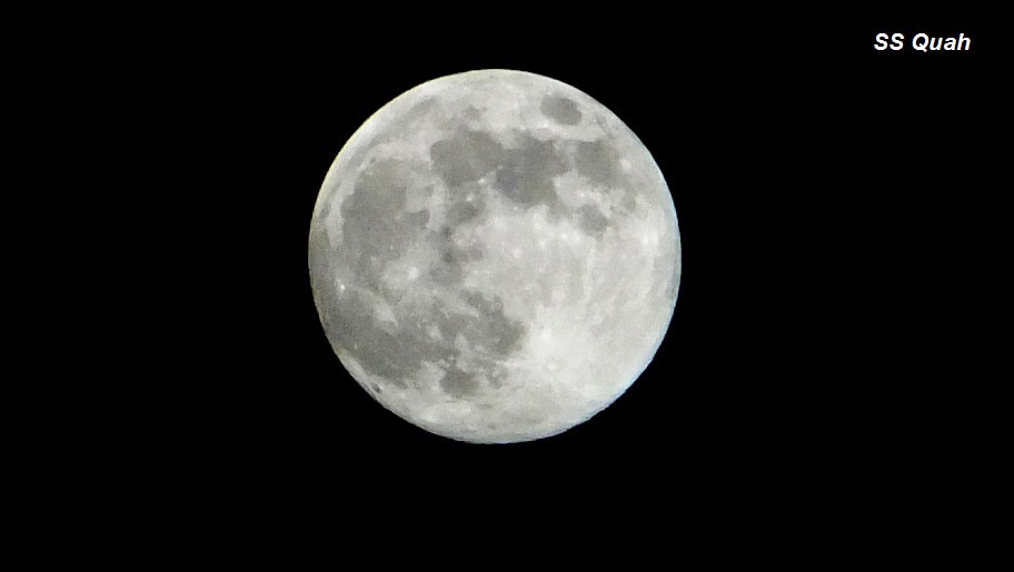 SS Quah's Anything Goes: Full moon in September