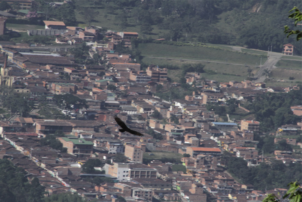 Pueblos de Antioquia: Municipio de Amagá