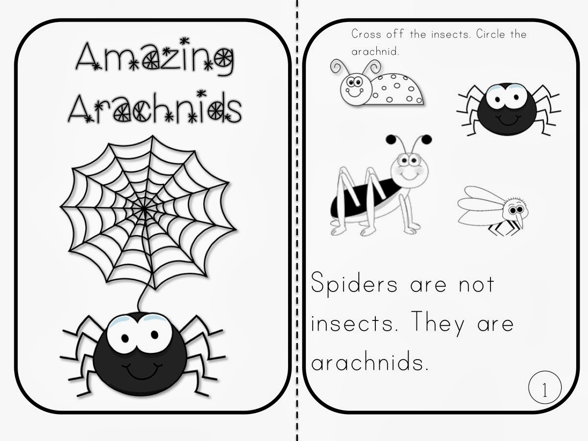 You Might be a First Grader...: New Journeys & Spider Mini-Unit