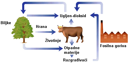 Chemnetschool by Dragan Stojanovic: Ugljenik