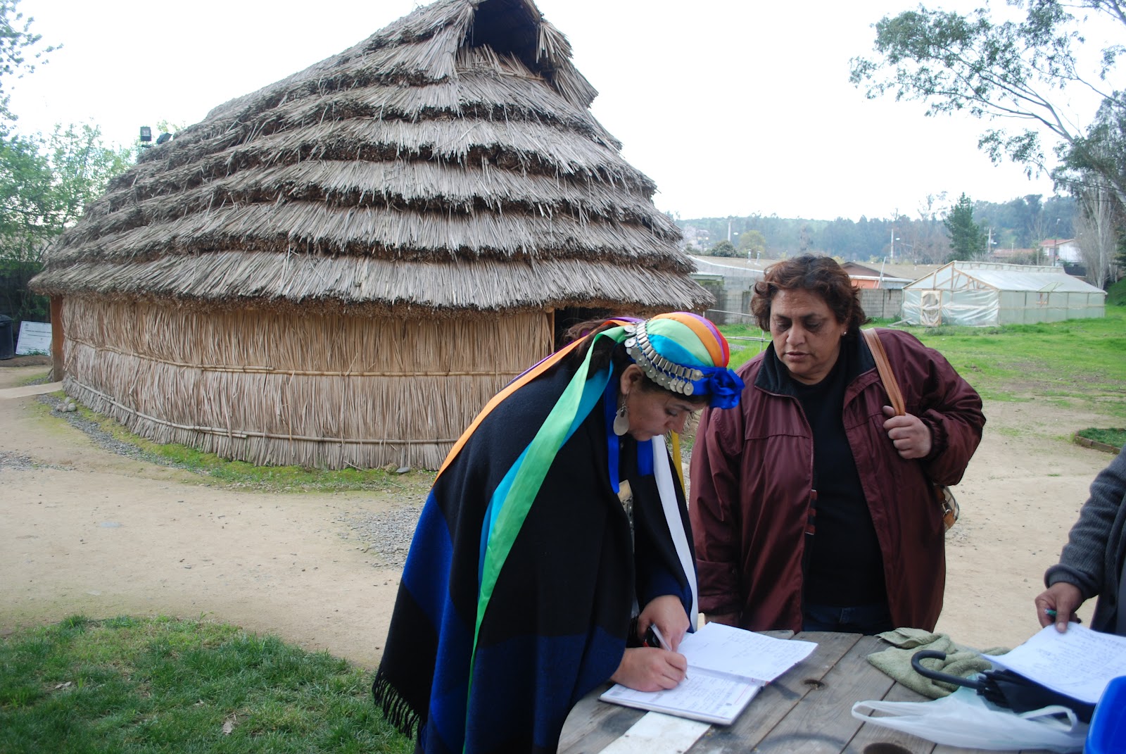 aldea2013: MEDICINA MAPUCHE (noticias)