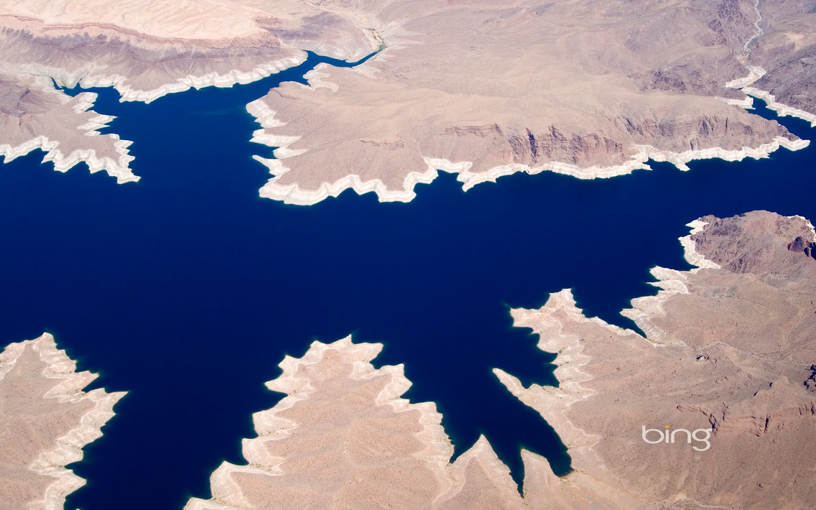 Banco de Imágenes Gratis: Las mejores imágenes de Bing (Parte 1, 40 fotos)