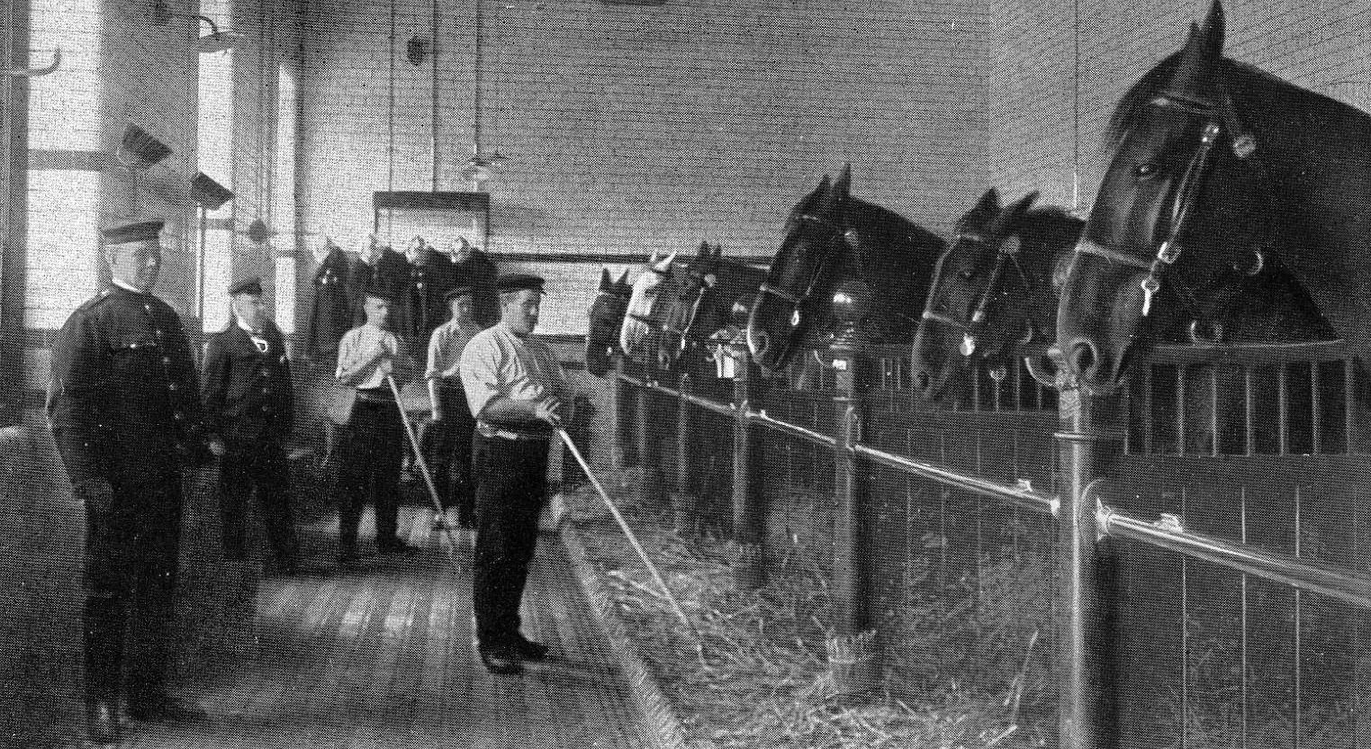 Tour Scotland: Old Photograph Fire Brigade Stables Edinburgh Scotland