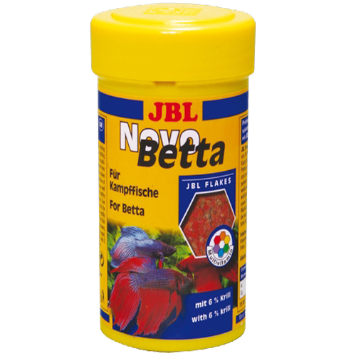 Betta Splendens: Alimentation du Betta Splendens