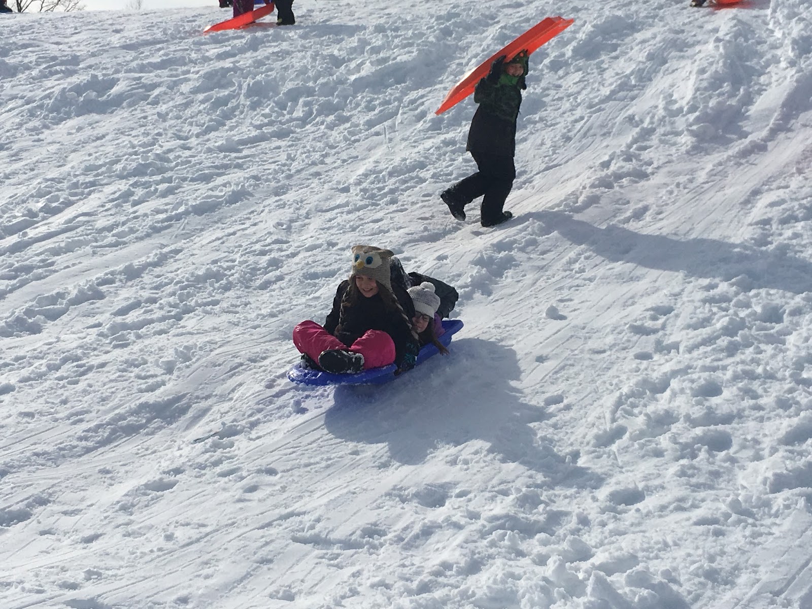 Mrs. Smith's classroom blog: All School Sledding