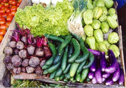 5 jenis sayuran terbaik untuk dimakan setiap hari - Oh kiji | Sumber ...