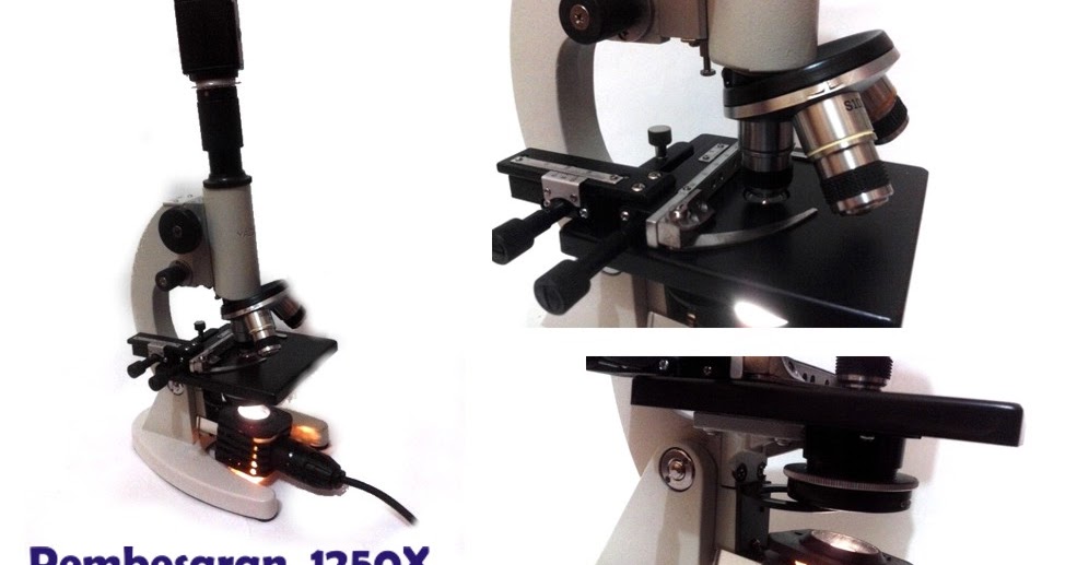 Mikroskop multimedia: Mikroskop Monokuler Pembesaran 1250 X