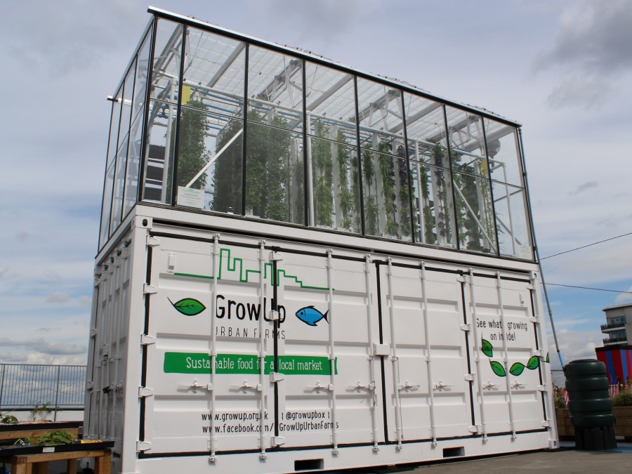 Greenhouse Shipping Container: Converted Containers