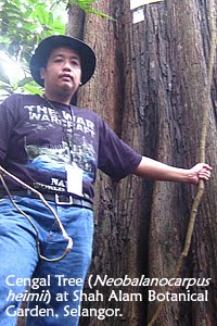 Forest Dweller: Field Trip to Matang Mangroves and Segari Melintang ...