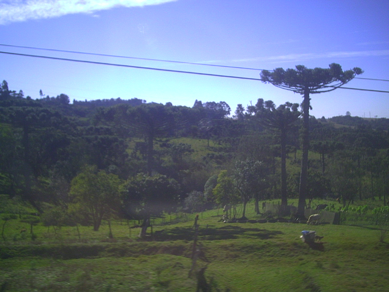 Lugares e flashes!: SC - Lages: A caminho de Treze Tílias