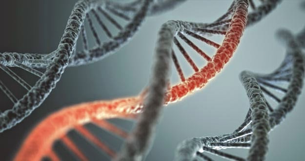 DESVELAN EL MAPA DEL "EPIGENOMA", UN SEGUNDO CÓDIGO GENÉTICO