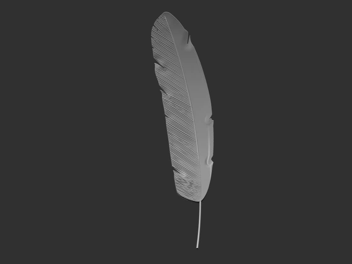 Darya Girina Zbrush Endless Way: Modelling bird feather and wings ...