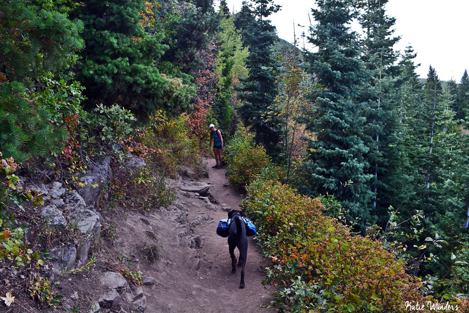 Katie Wanders : Stewart Falls Hike via Aspen Grove, Provo Utah