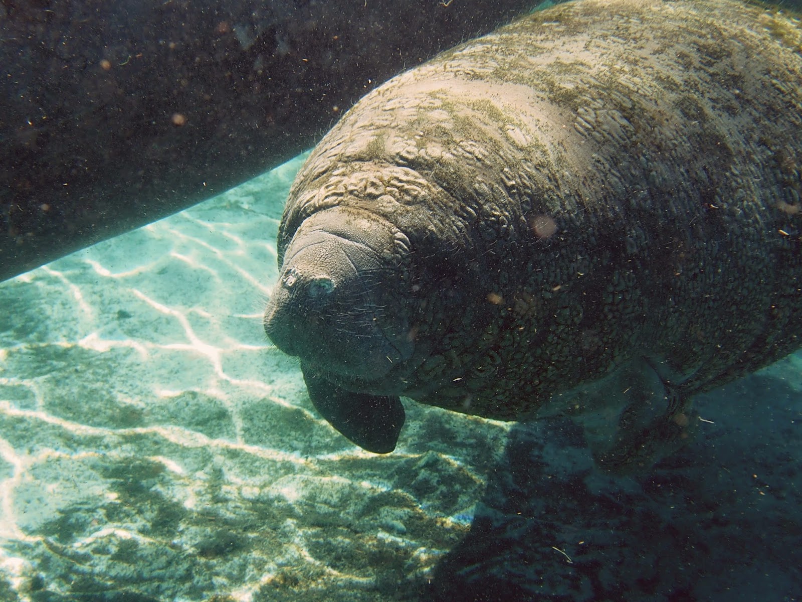 •Ihan pihalla ja välillä sisällä•: helmikuuta 2015