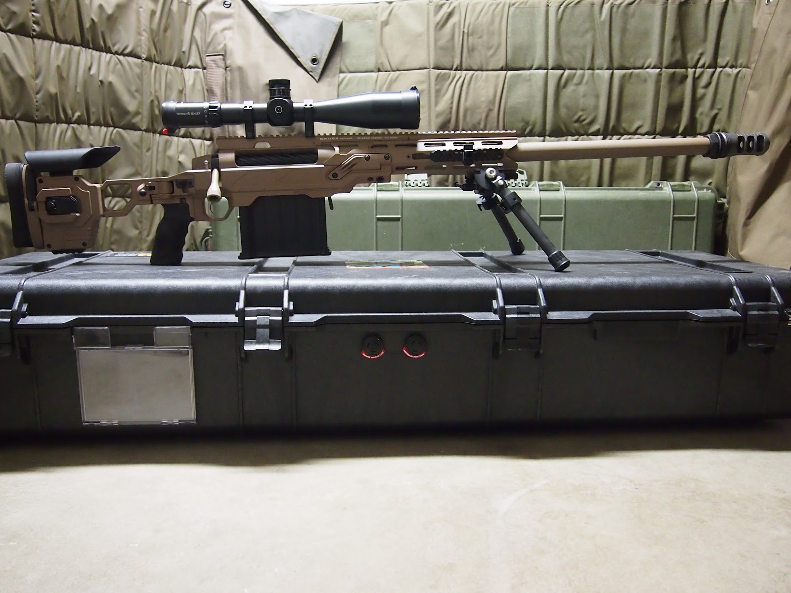 Mister Donut's Firearms Blog: PGW LRT-3 in the Cadex Dual Strike Chassis
