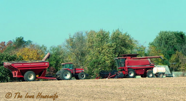 The Iowa Housewife: Sunday in Iowa...