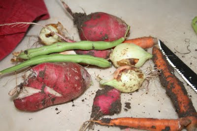 Airplane Food Critic: June 2012