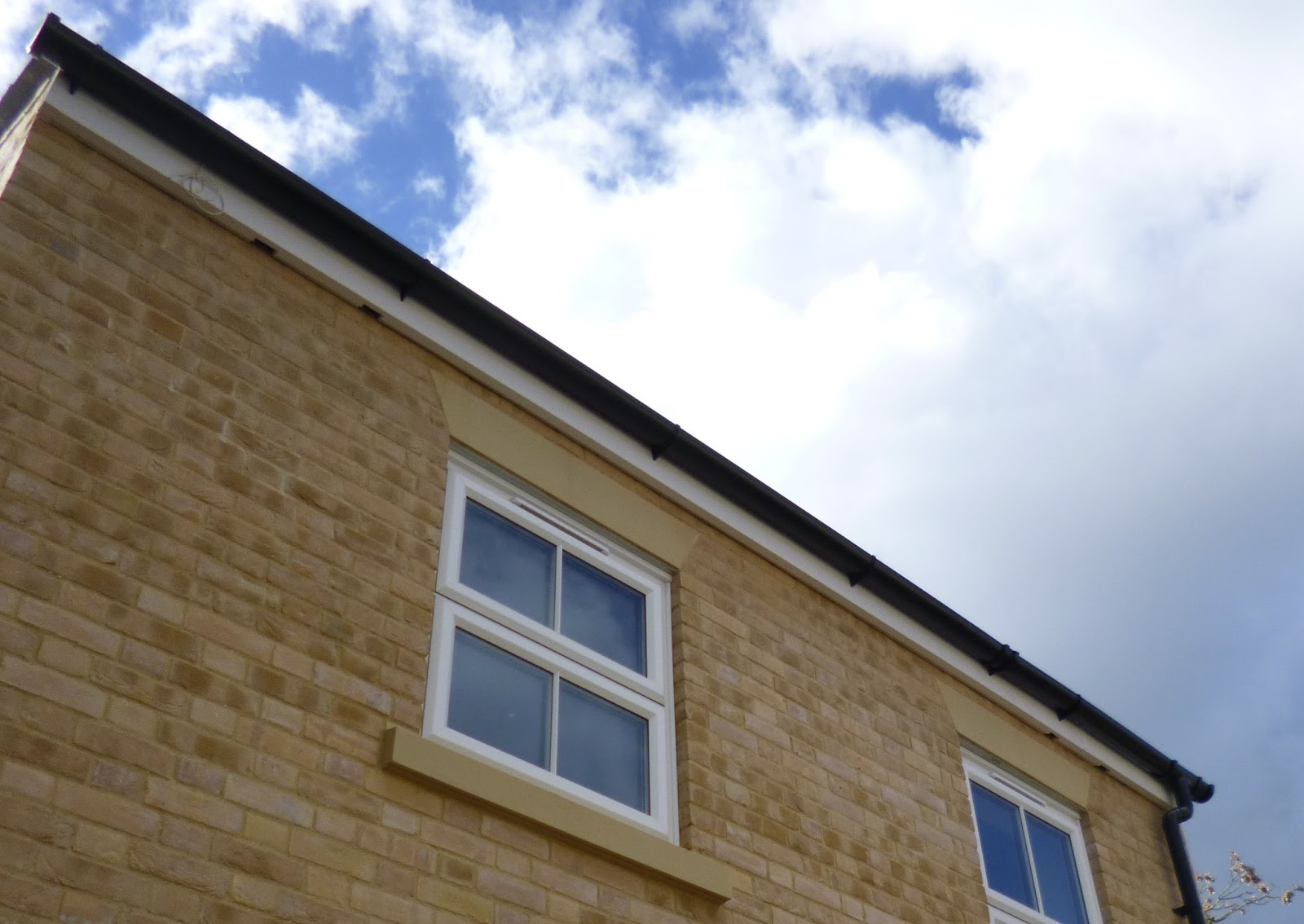 Action for Swifts: A new house with 9 new Swift boxes