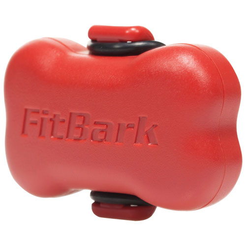 10 Best Tech Gadgets for Dogs | Australian Dog Lover