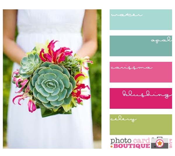 Simply Suzanna: Color Pallets