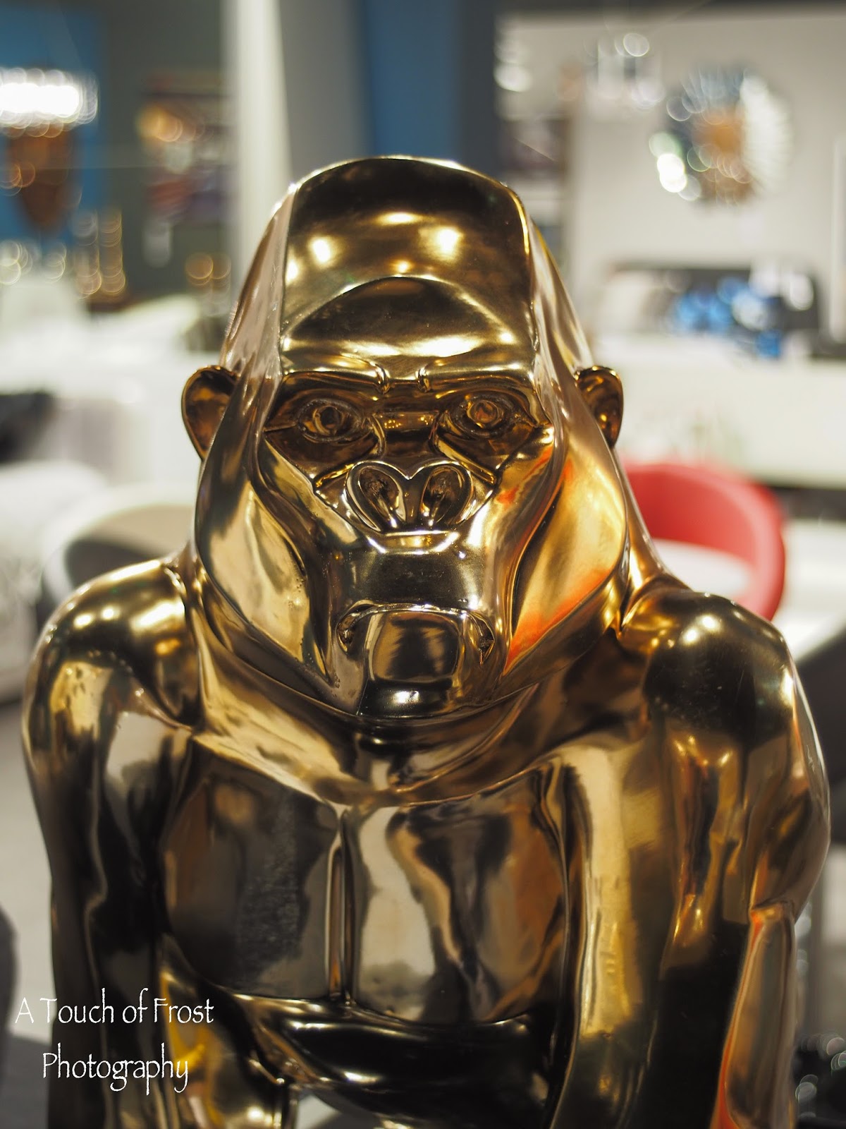 Nottingham Daily Photo