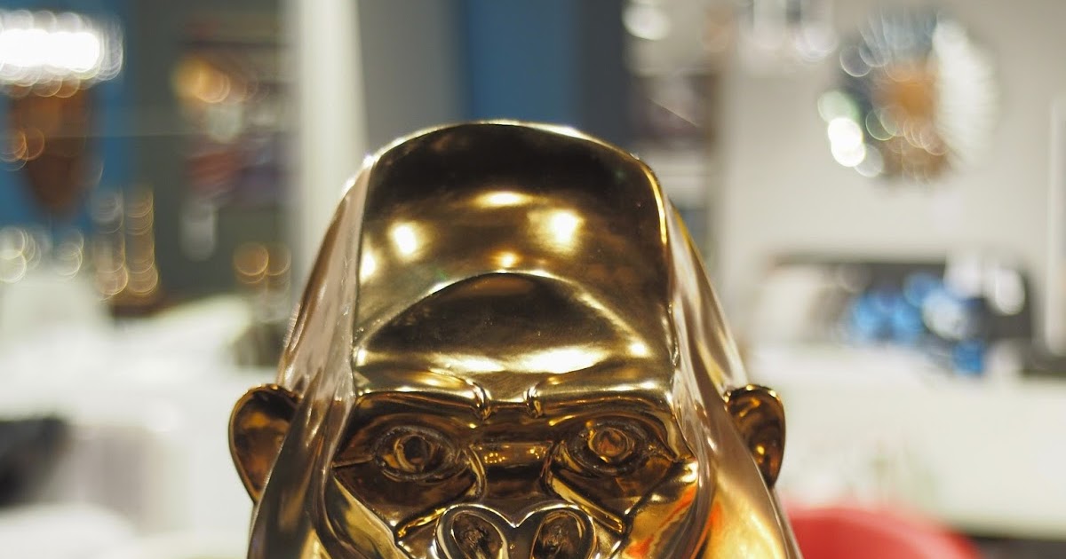 Nottingham Daily Photo: The Funky Gibbon