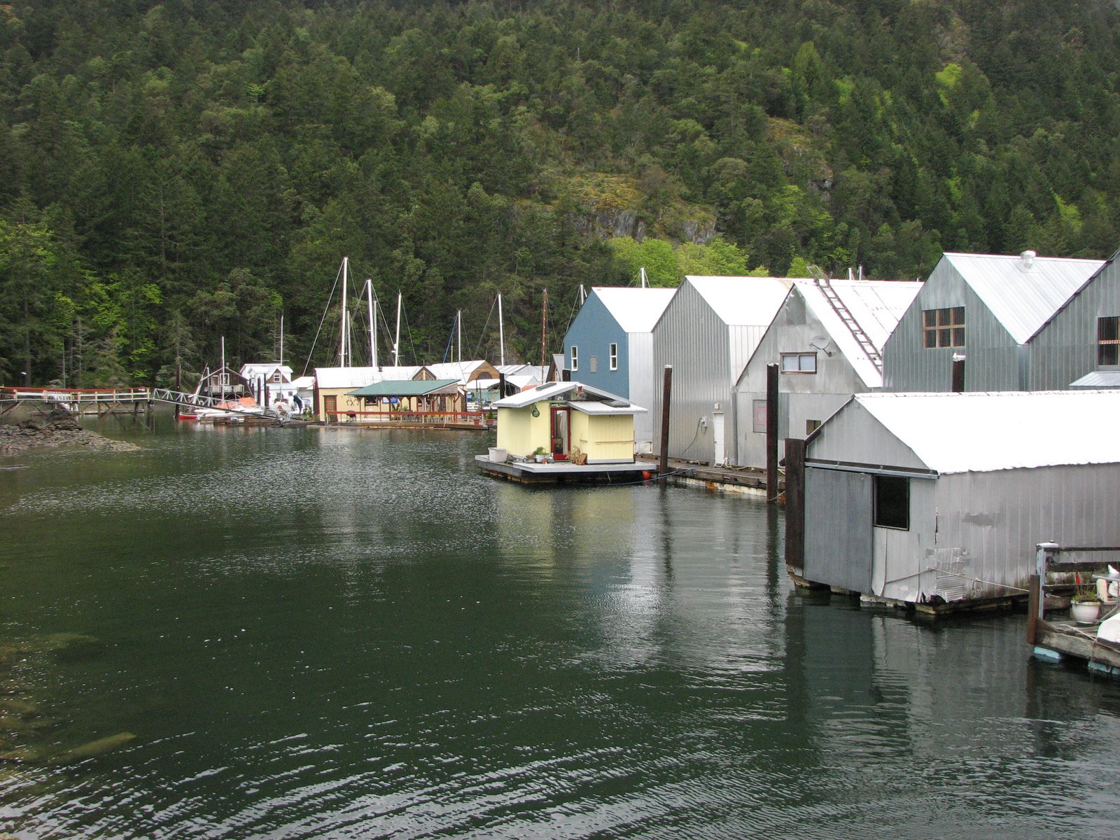 Vancouver Island in Pictures: All's Quiet at Genoa Bay