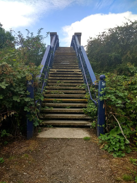 Perambulatory Ramblings: Coldhams Common: Liminal Greenspace