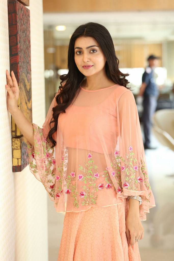 Avantika At Vaisakham Movie Success Meet Stills