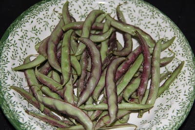 Avarakkai: Naturally Grown Avarakkai