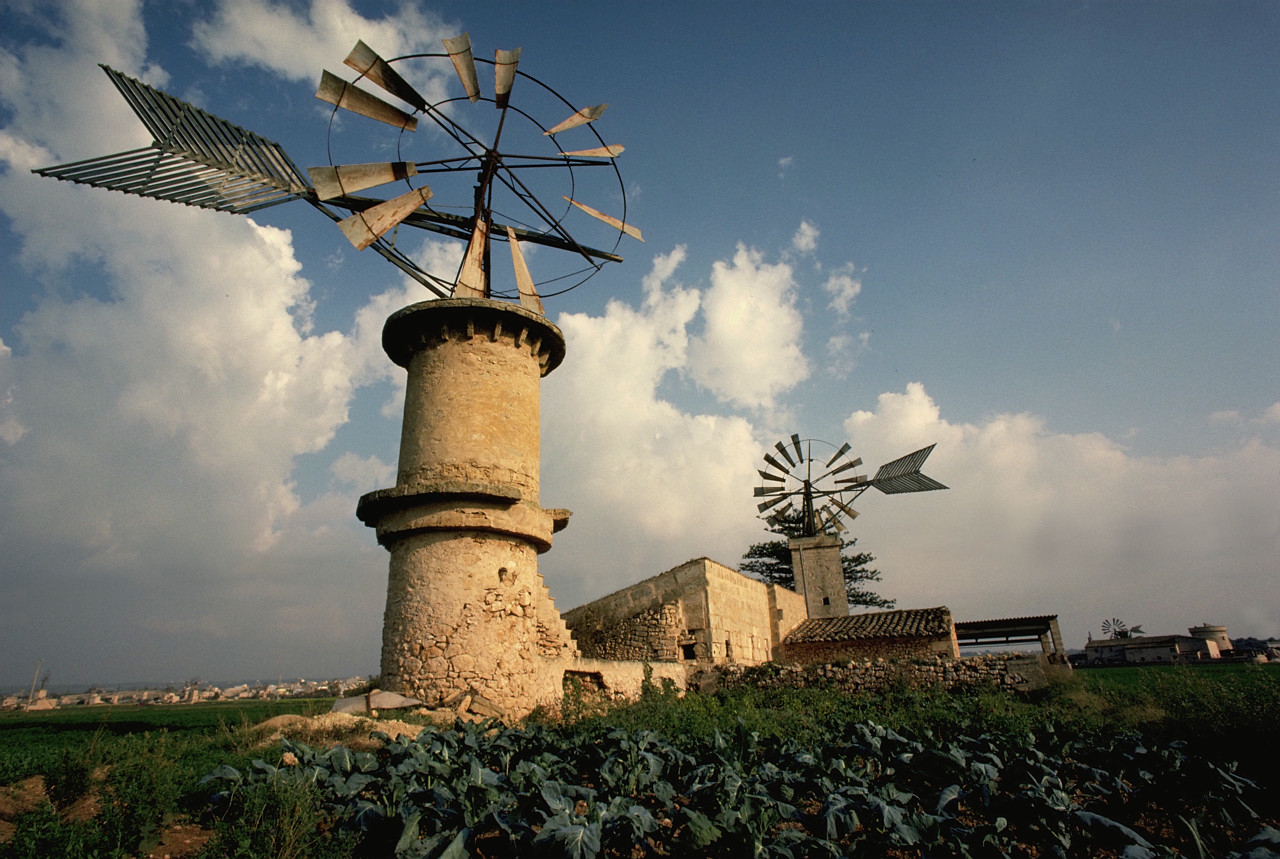 A Complete Guidance to Best SEO tips- How and Why: Understanding the ...